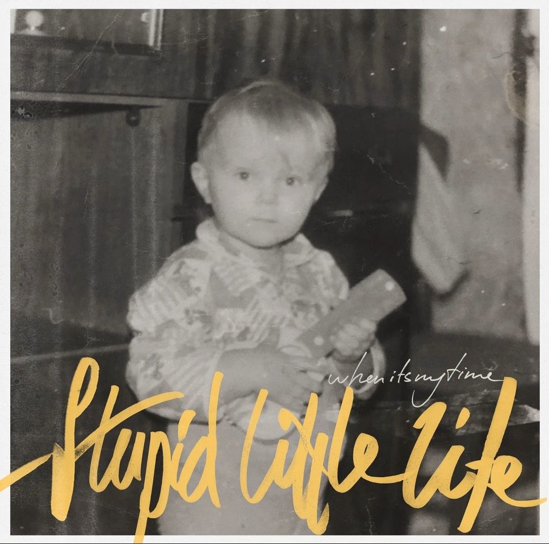 Stupid Little Life /// whenitsmytime - New Release Today - Popfad Music ...