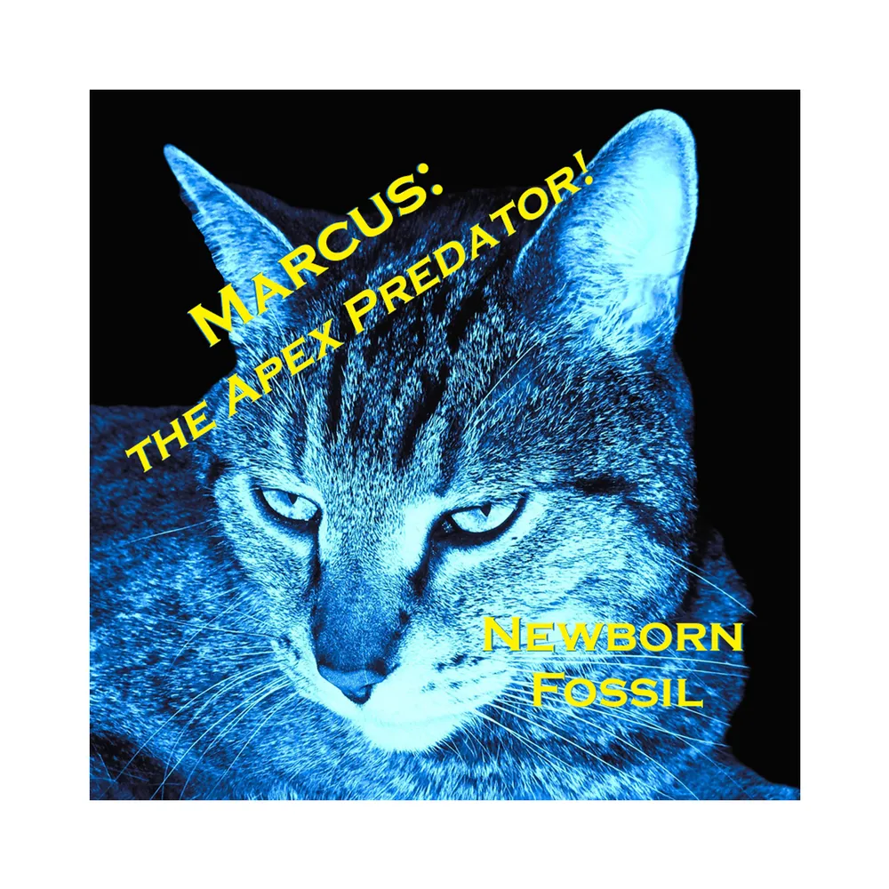 Marcus: The Apex Predator! /// Newborn Fossil - Popfad Music | Music ...